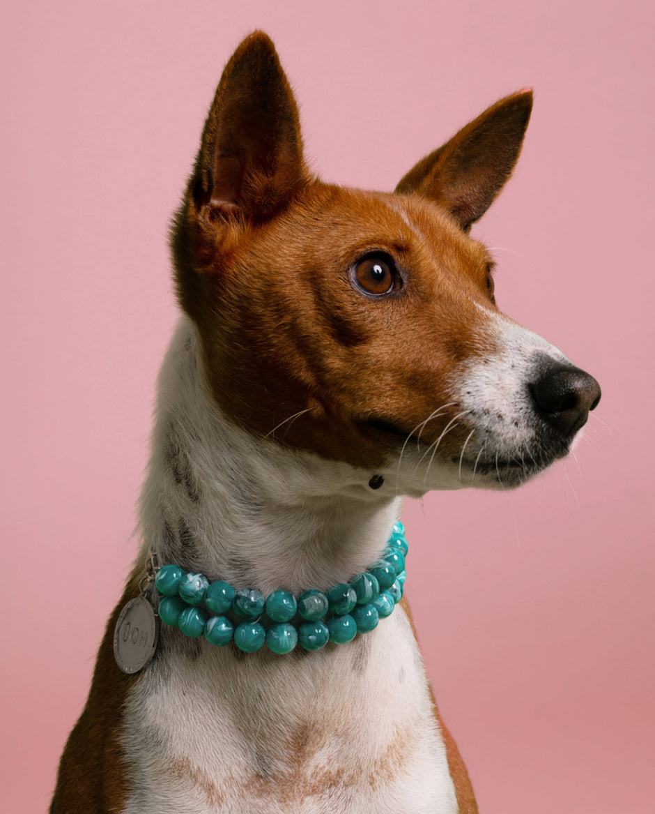BAND OF HEARTBREAKERS : bijoux pour chiens et chats